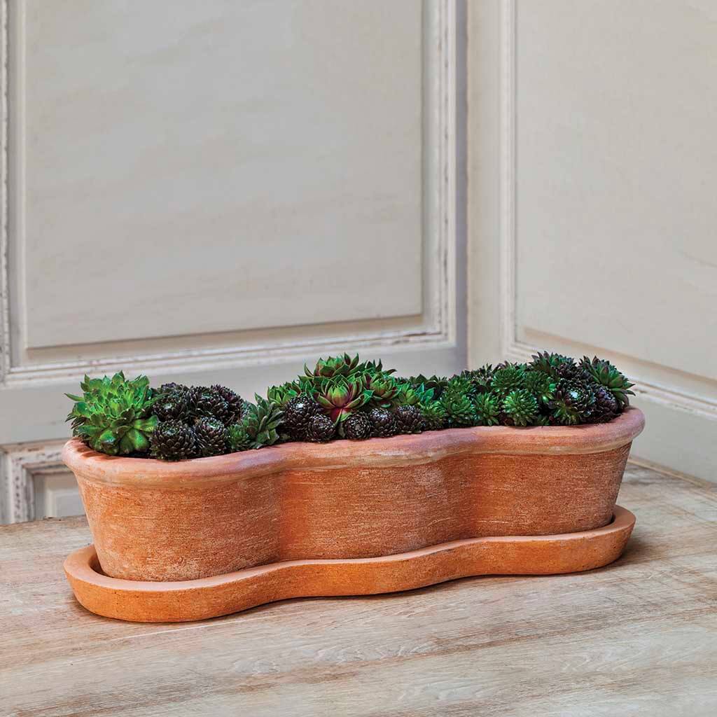 Campania International Costa Planter in Terra Nova set of 3 | The ...