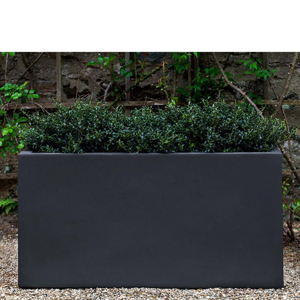 Campania International Sandal Planter 592424 | The Garden Gates