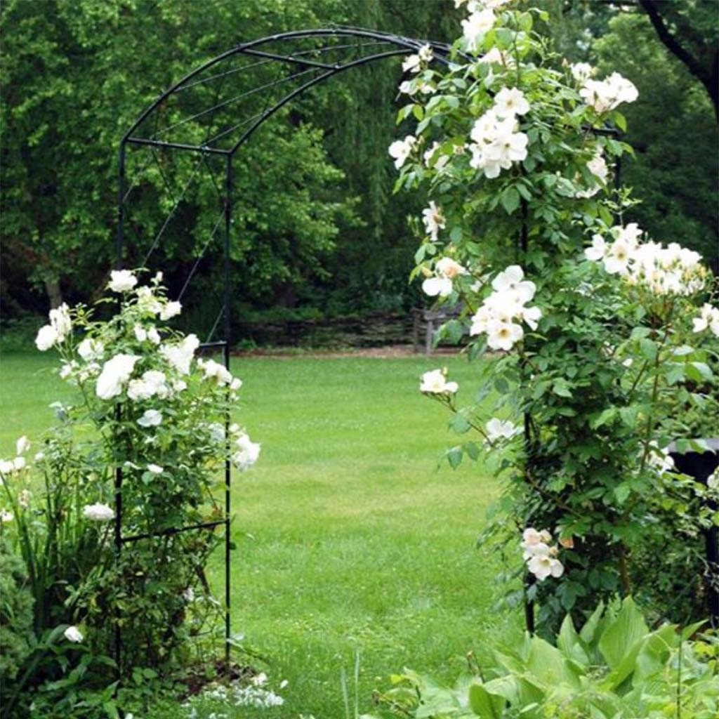Solid Rod Monet Arch by Kinsman | The Garden Gates